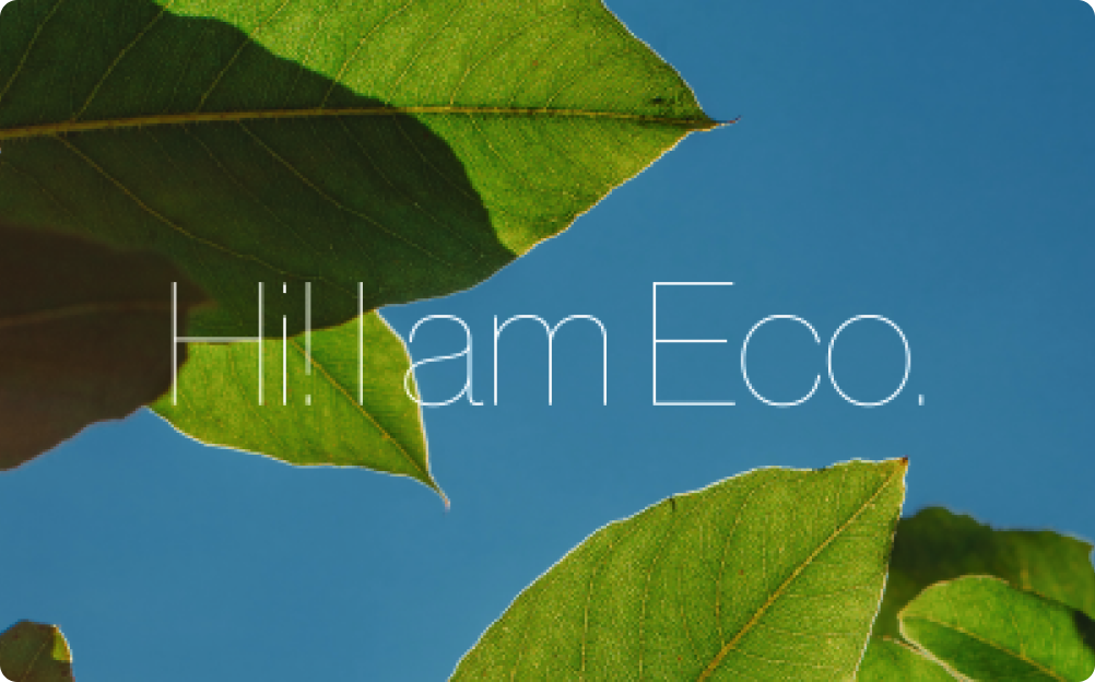 Environmental Awareness Survey Template | SurveySparrow