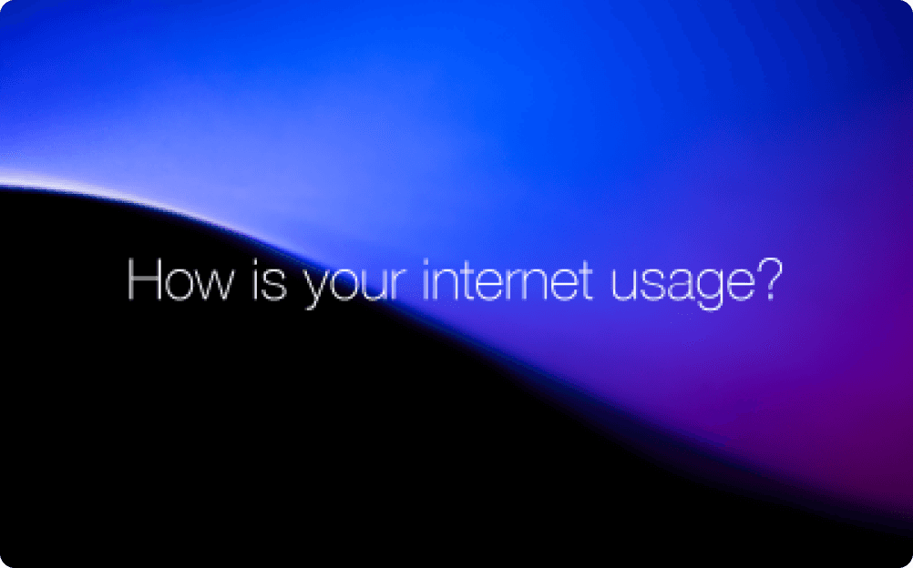 Internet Usage Survey Questionnaire Template