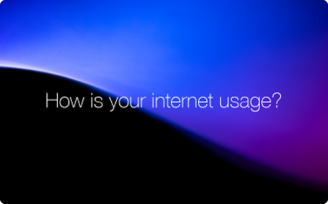 Internet Usage Survey Questionnaire Template