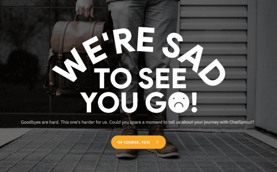 10 Creative Survey Ideas with Survey Question Examples