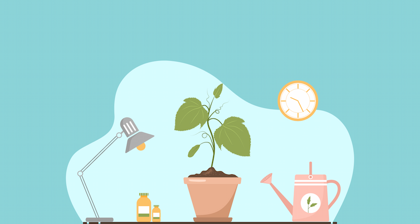 Bogardus Social Distance Scale: Definition, Questions and Examples